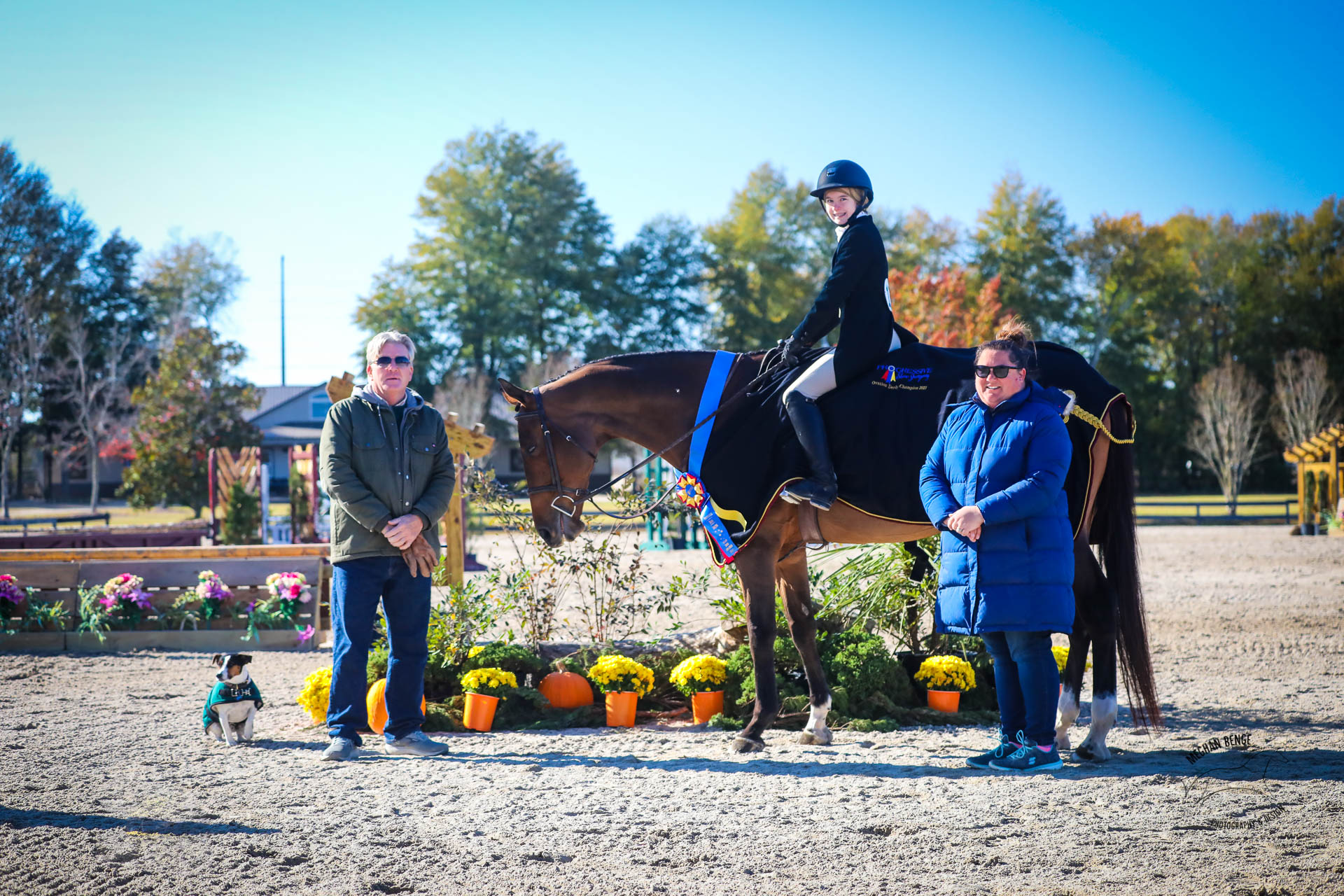 Progressive Show Jumping, Inc.