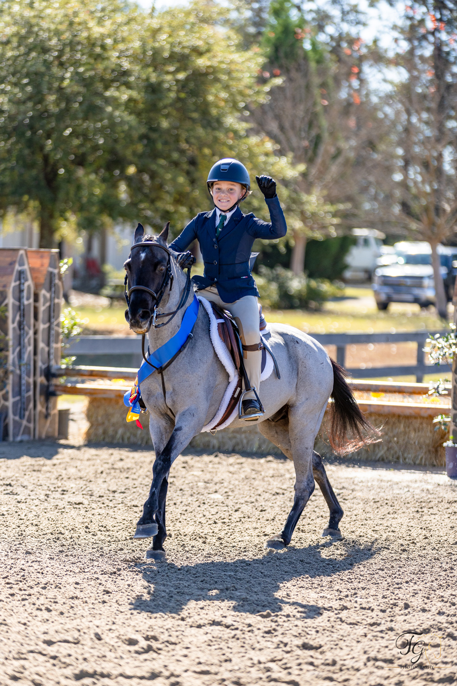 Progressive Show Jumping, Inc.