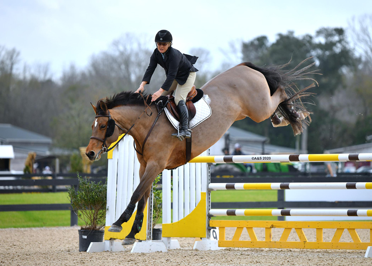 Progressive Show Jumping, Inc.