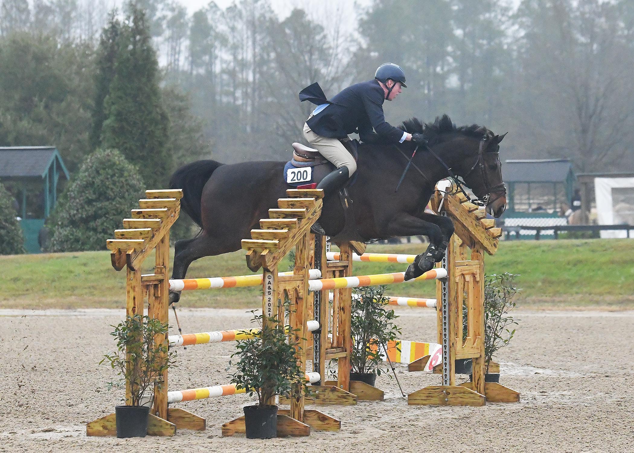 Progressive Show Jumping, Inc.