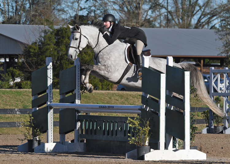 Progressive Show Jumping, Inc.