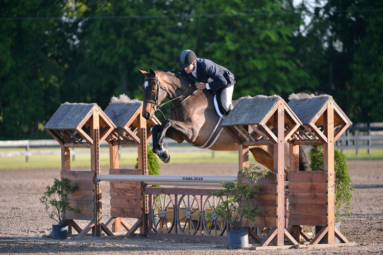 Progressive Show Jumping, Inc.
