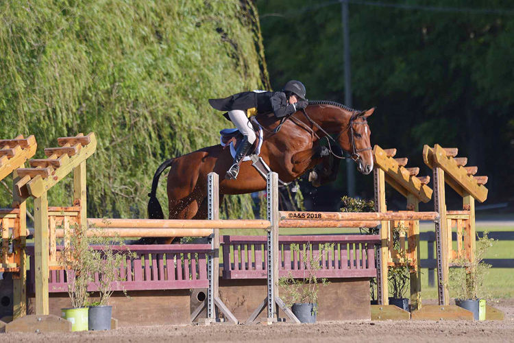 Progressive Show Jumping, Inc.