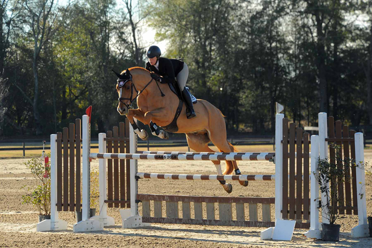 Progressive Show Jumping, Inc.