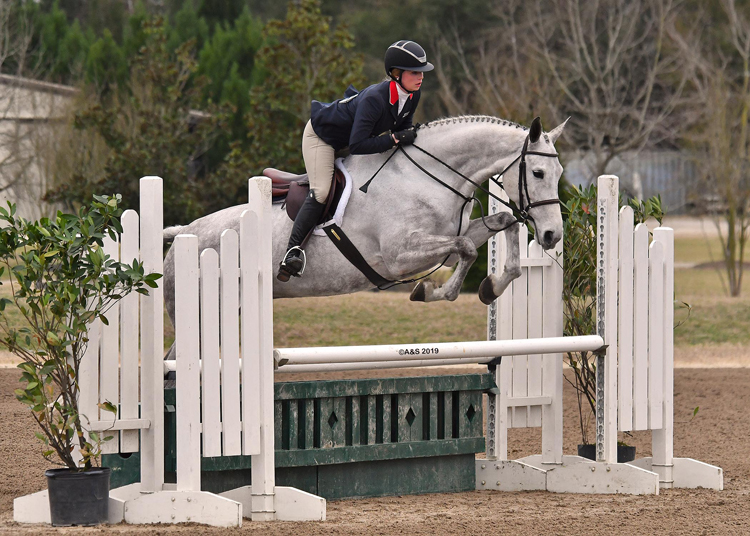 Progressive Show Jumping, Inc.