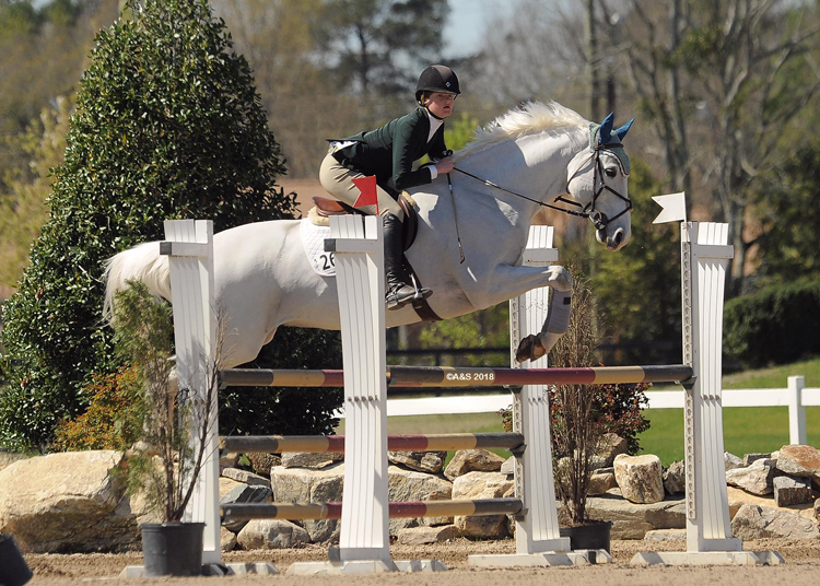 Progressive Show Jumping, Inc.