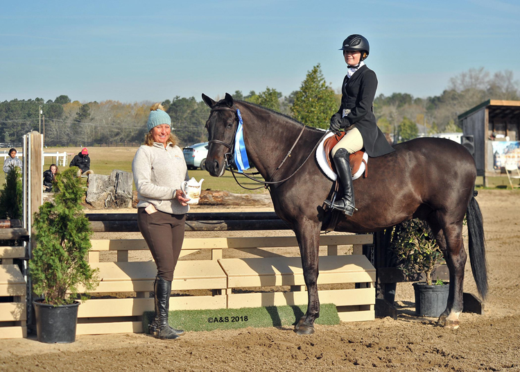 Progressive Show Jumping, Inc.
