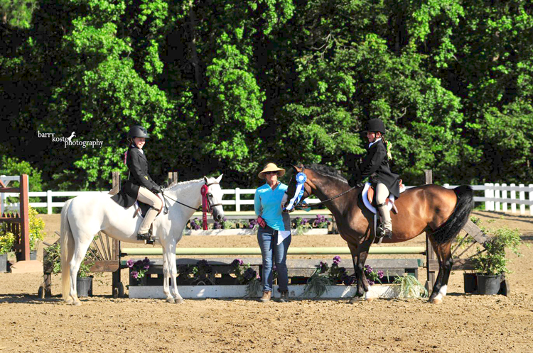 Progressive Show Jumping, Inc.